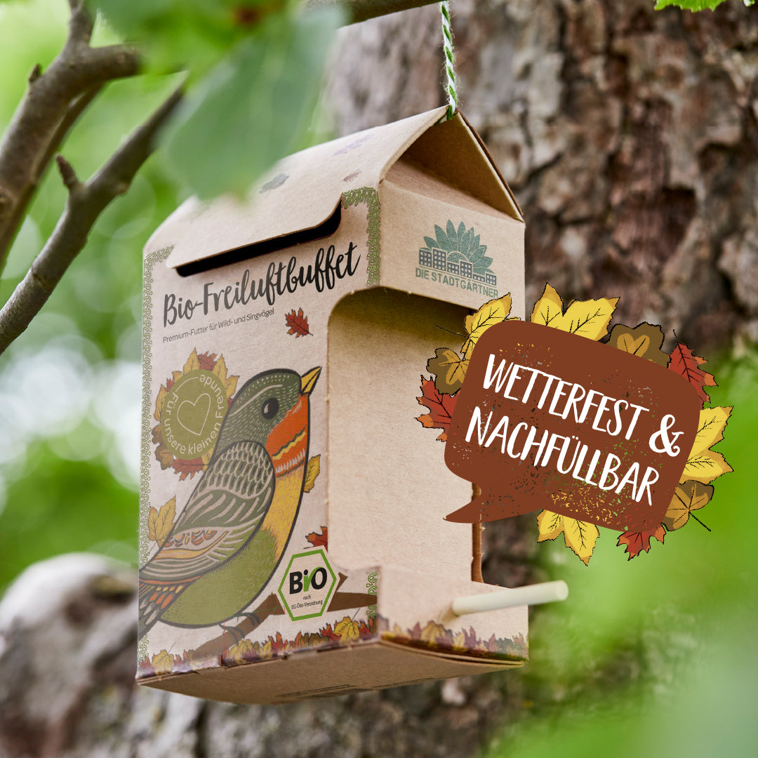 Organic outdoor buffet for birds | Organic bird food with bird feeder ...